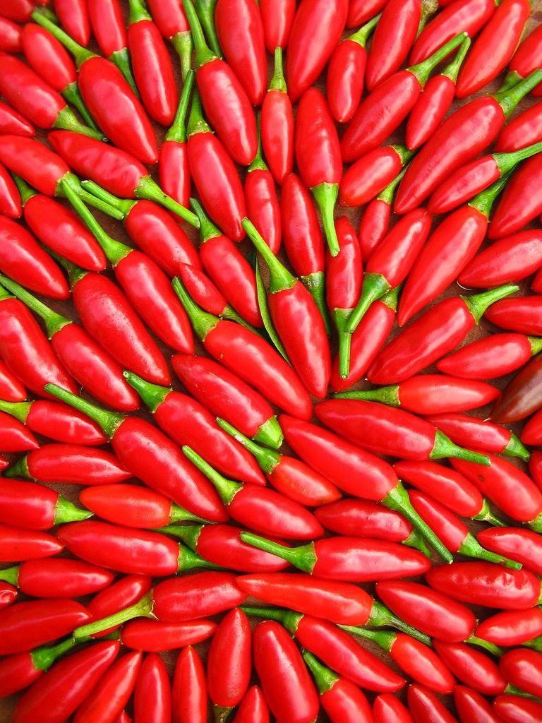 Chilli Android Wallpapers - Wallpaper Cave