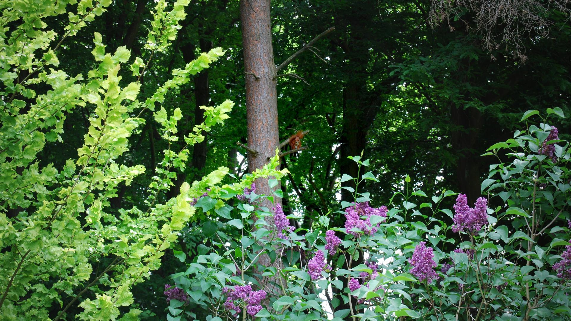 Trapped Flowers Wallpapers - Wallpaper Cave