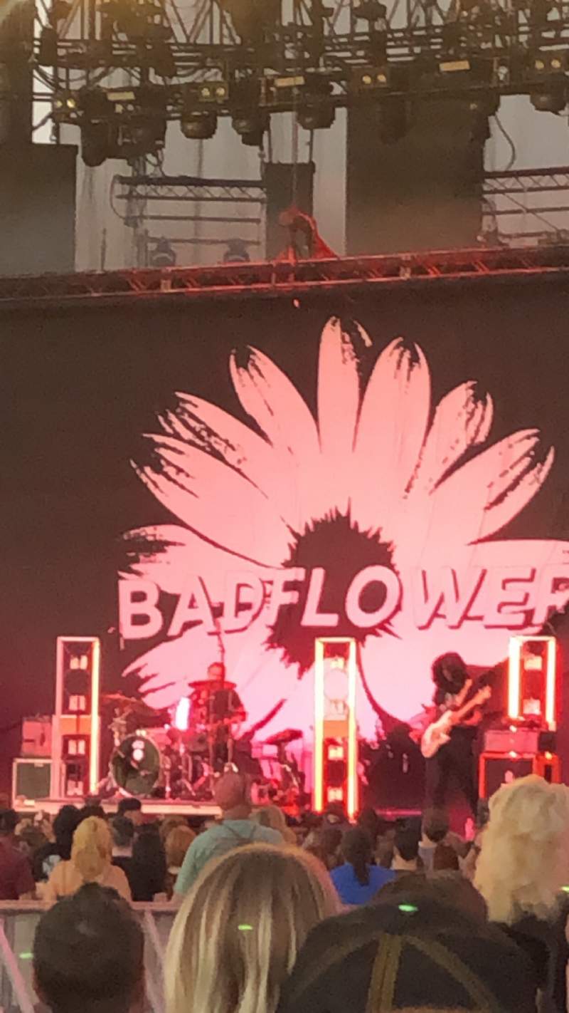 Badflower Wallpapers - Wallpaper Cave