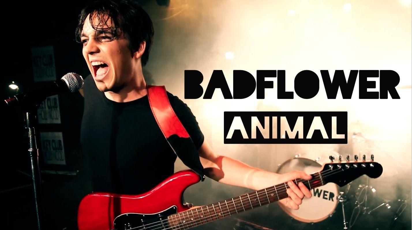 Badflower Wallpapers - Wallpaper Cave