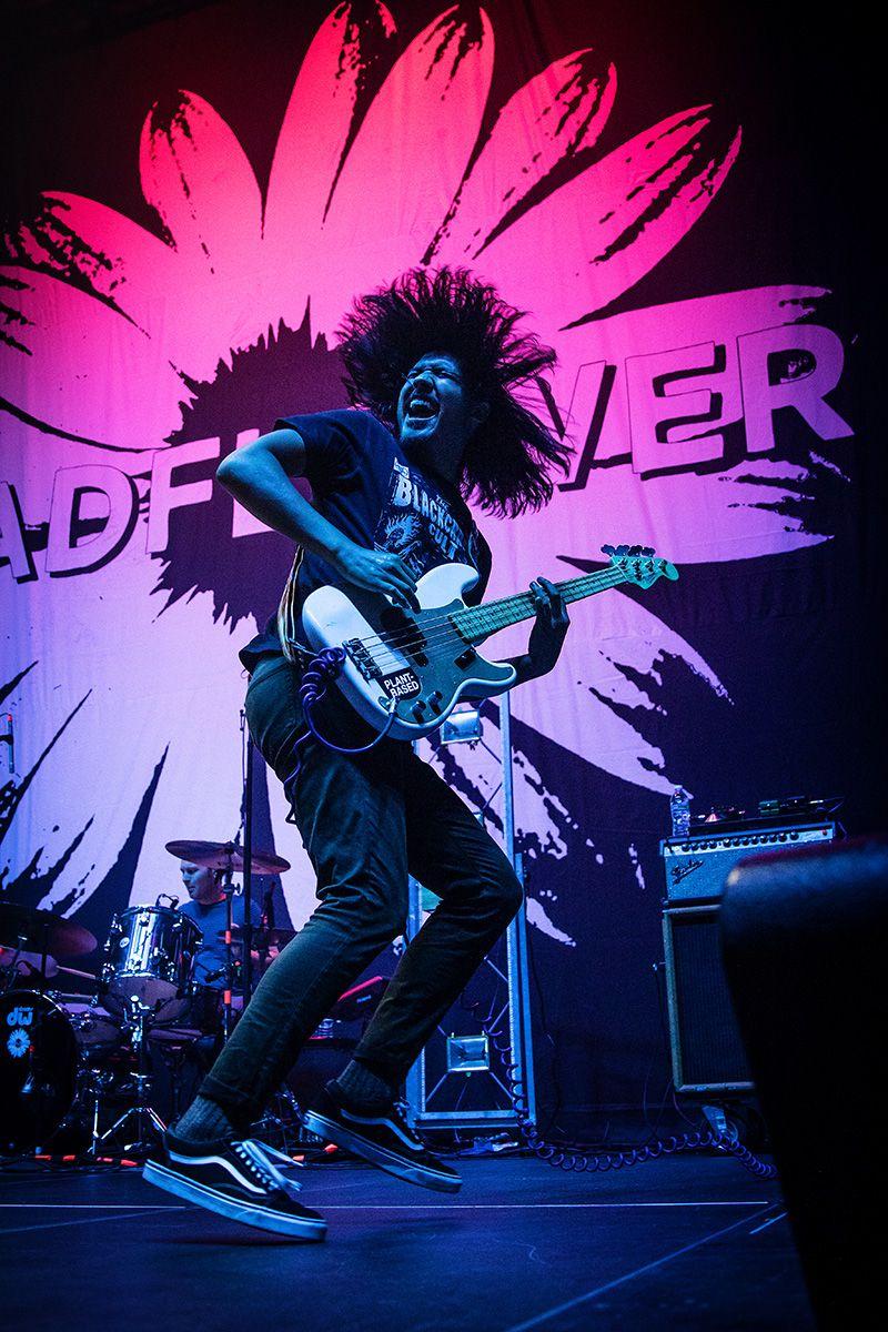 Badflower Wallpapers - Wallpaper Cave