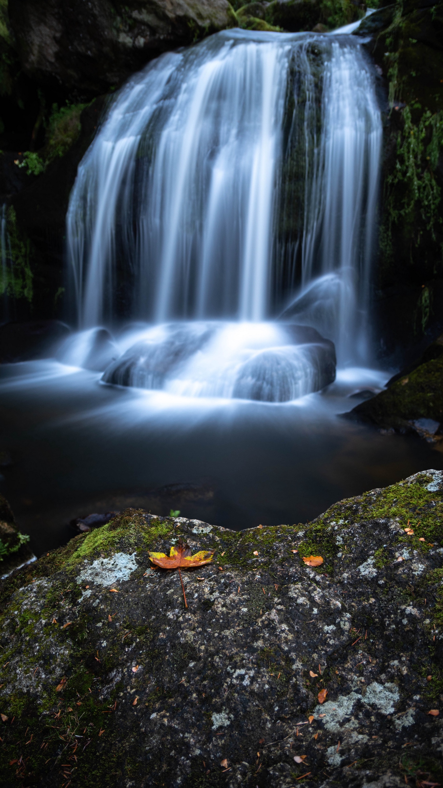 Stream Long Exposure Wallpapers - Wallpaper Cave