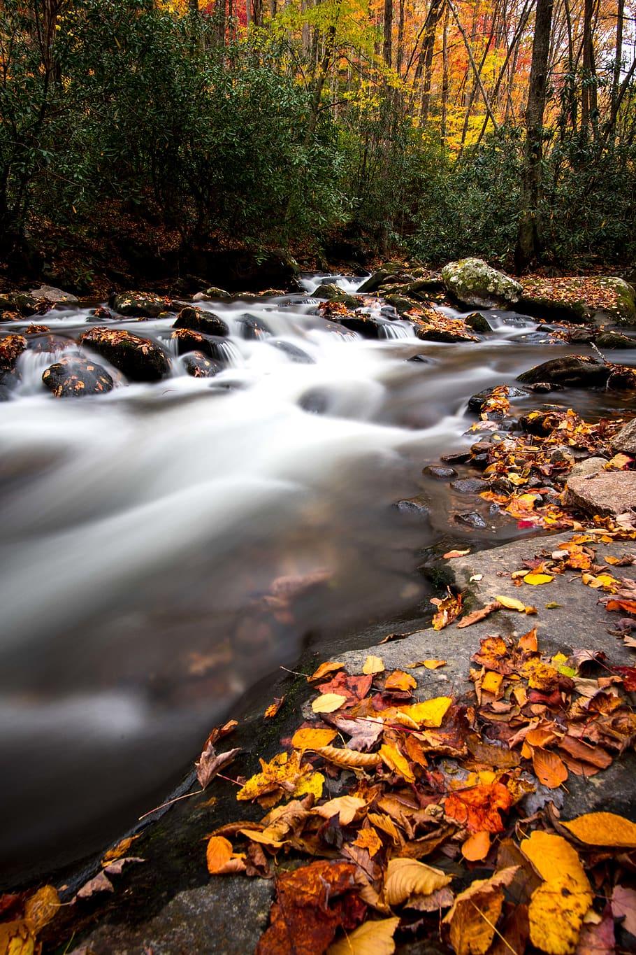 Stream Long Exposure Wallpapers - Wallpaper Cave