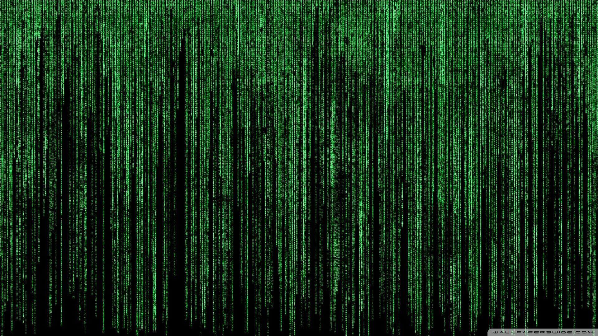 Matrix Computer Wallpapers - Wallpaper Cave