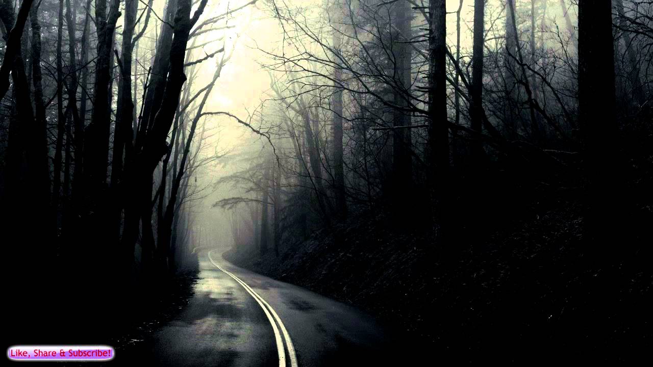 Scary Woods Wallpapers - Wallpaper Cave