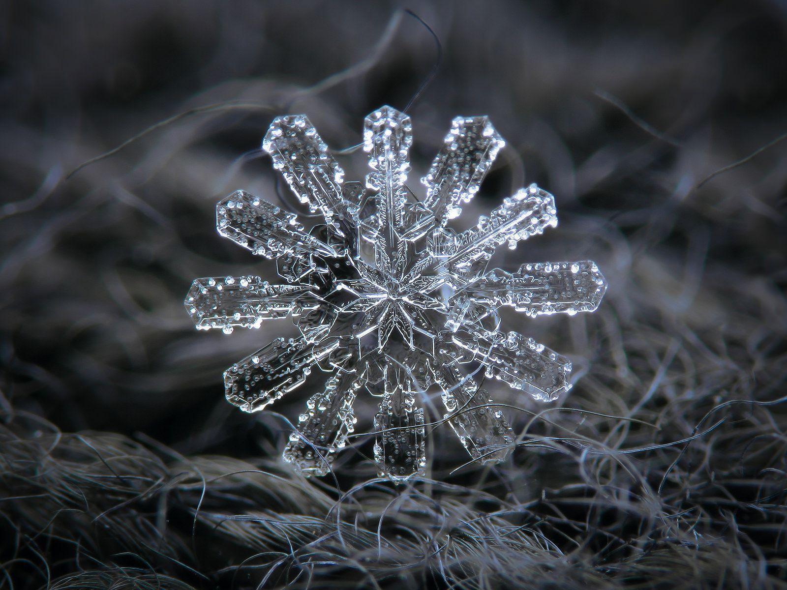 Snowcrystal Macro Wallpapers - Wallpaper Cave