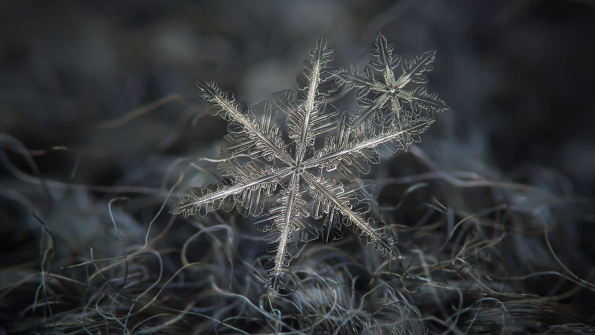 Snowcrystal Macro Wallpapers - Wallpaper Cave