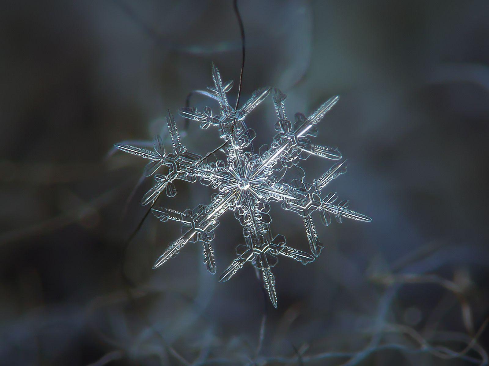 Snowcrystal Macro Wallpapers - Wallpaper Cave