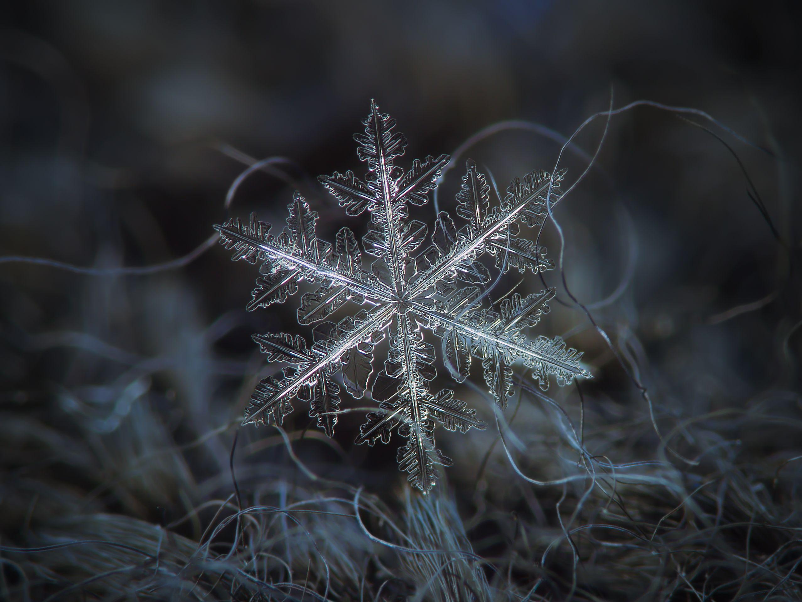 Snowcrystal Macro Wallpapers - Wallpaper Cave