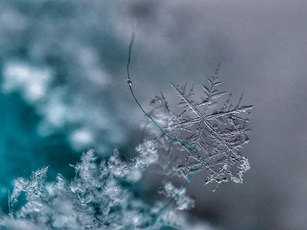 Snowcrystal Macro Wallpapers - Wallpaper Cave