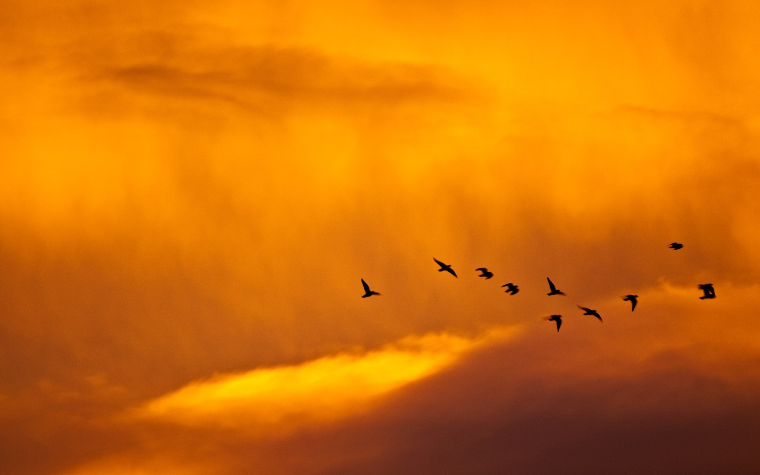 Evening Glow Wallpapers - Wallpaper Cave