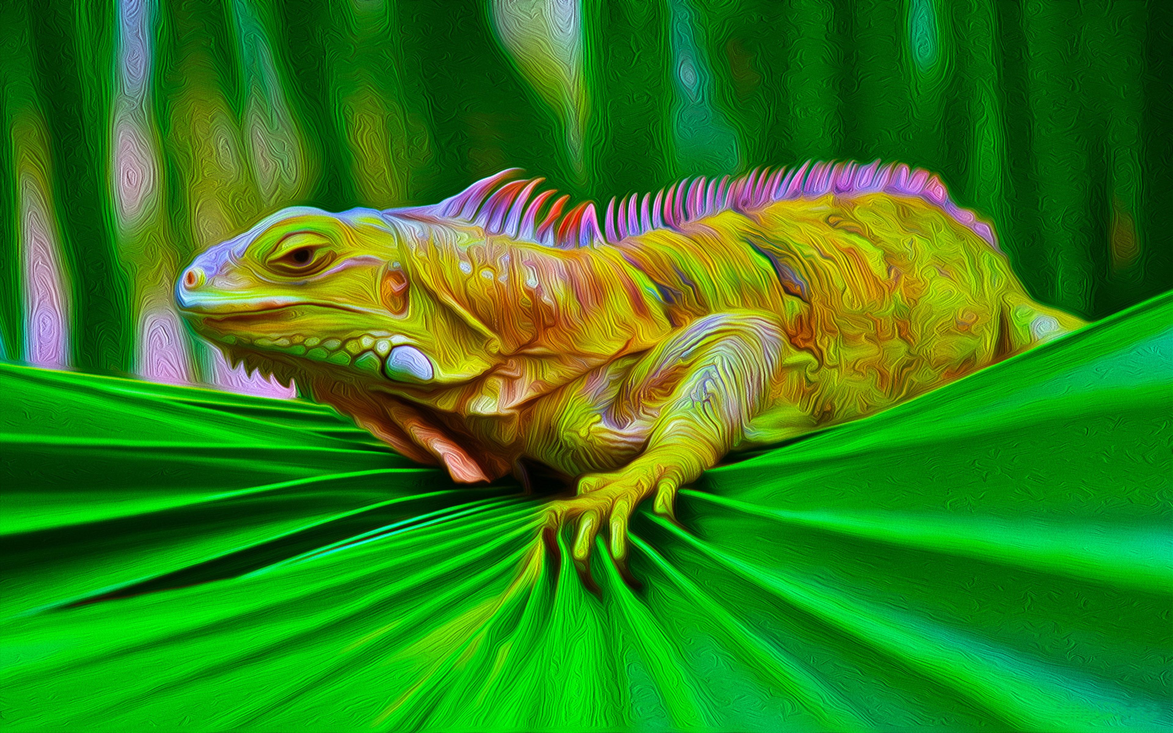 Colorful Lizard Wallpapers - Wallpaper Cave