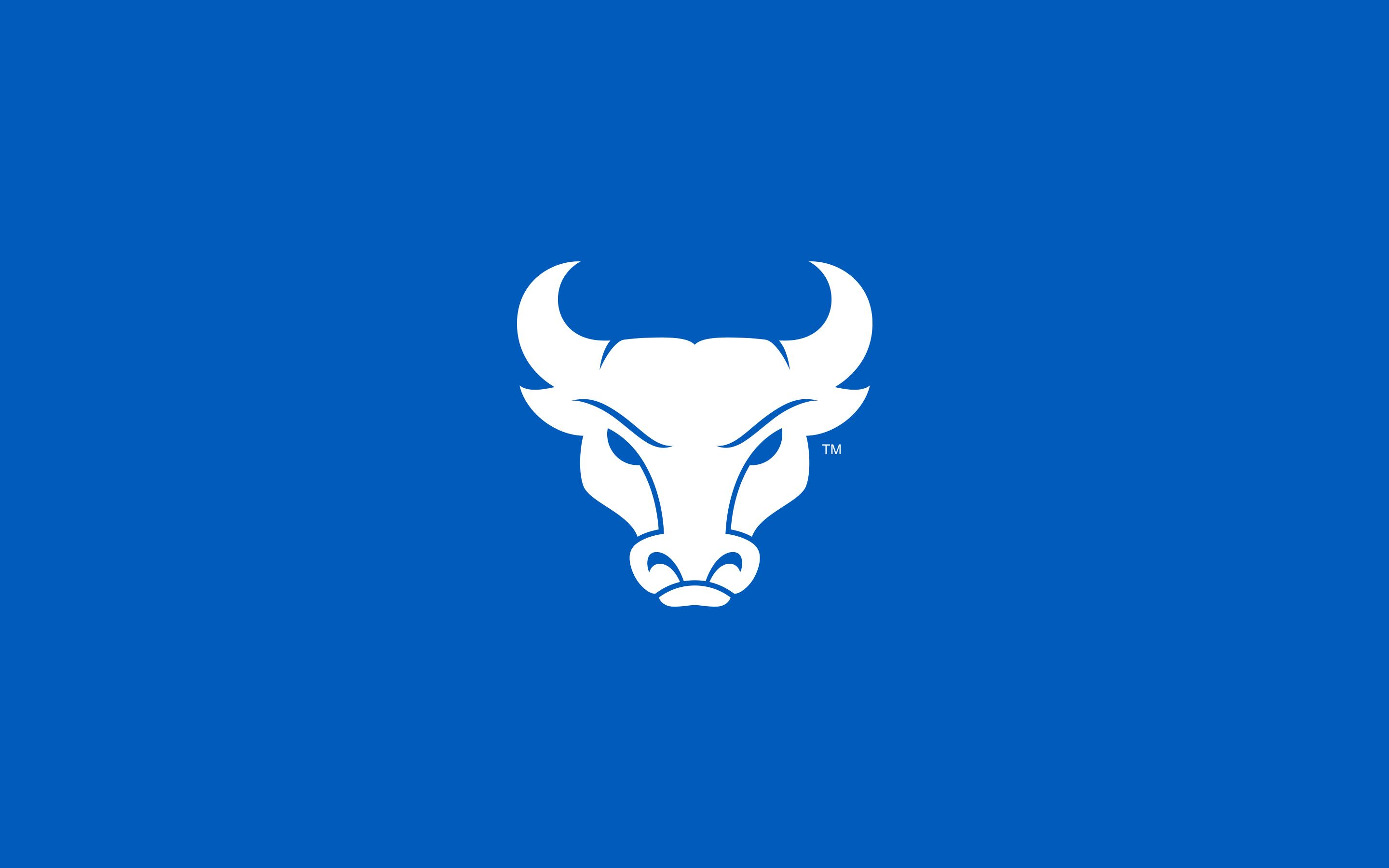 Buffalo Desktop Computer Wallpapers - Wallpaper Cave