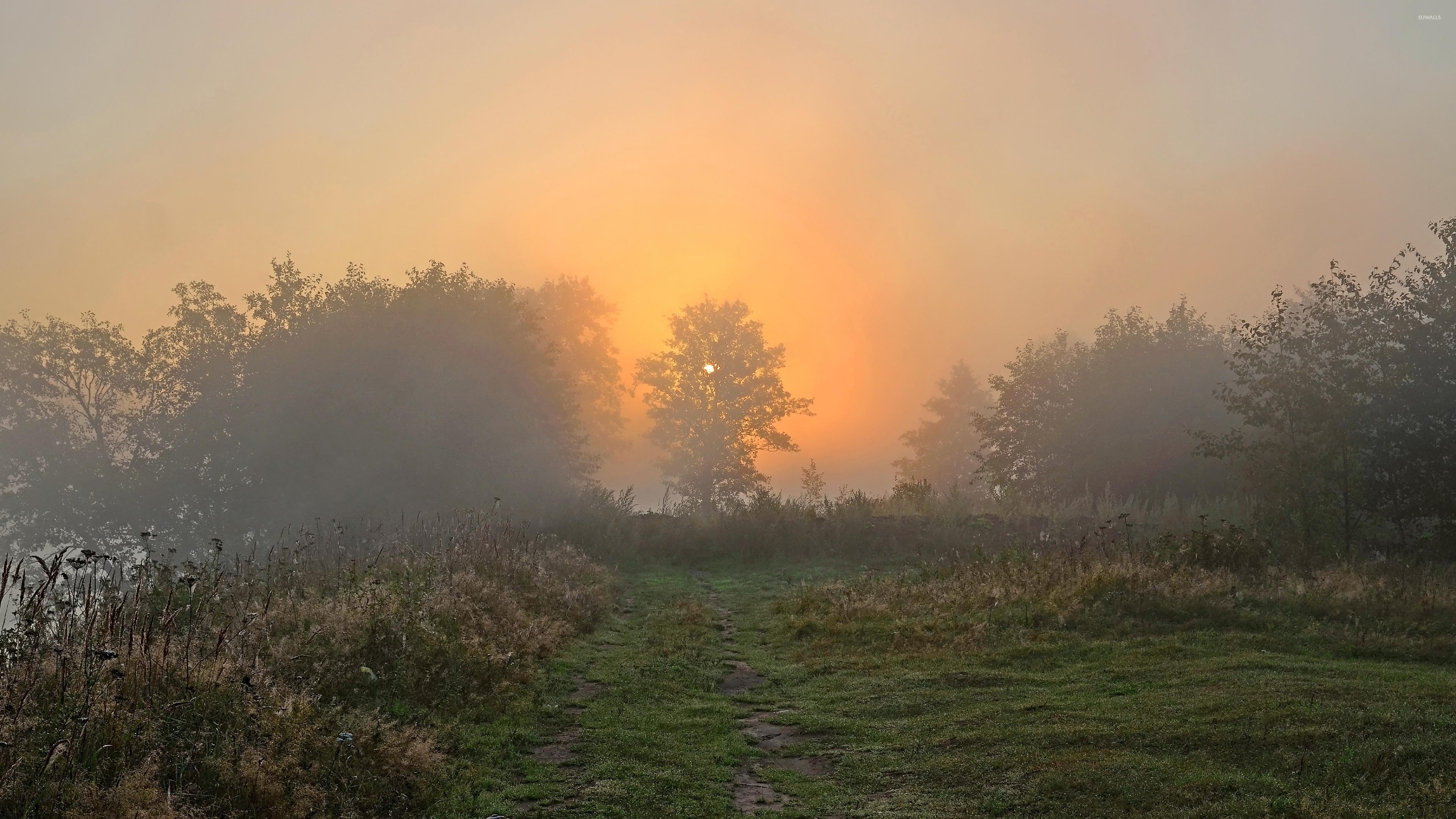 Fog Sunset Wallpapers - Wallpaper Cave