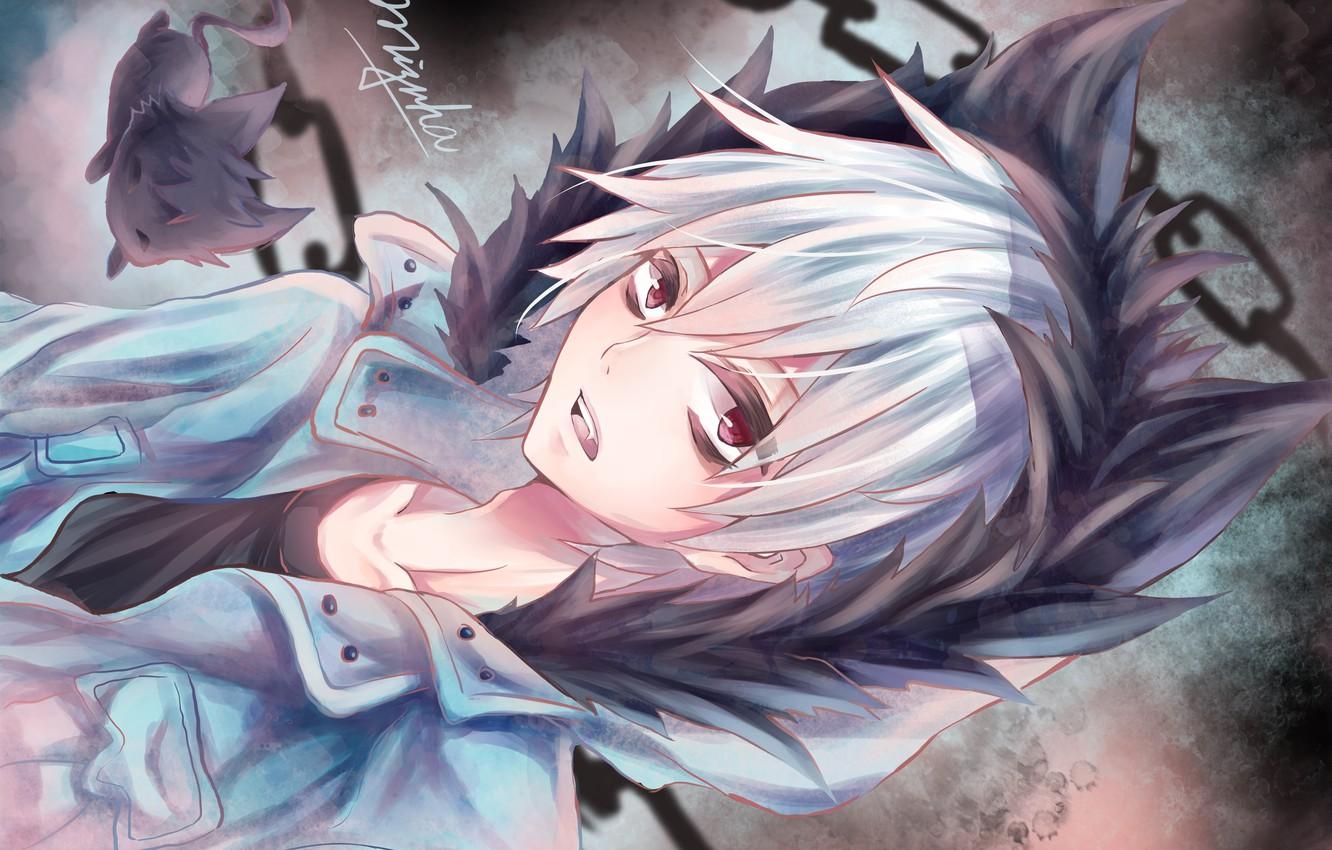 Anime Servamp Kuro Wallpapers - Wallpaper Cave