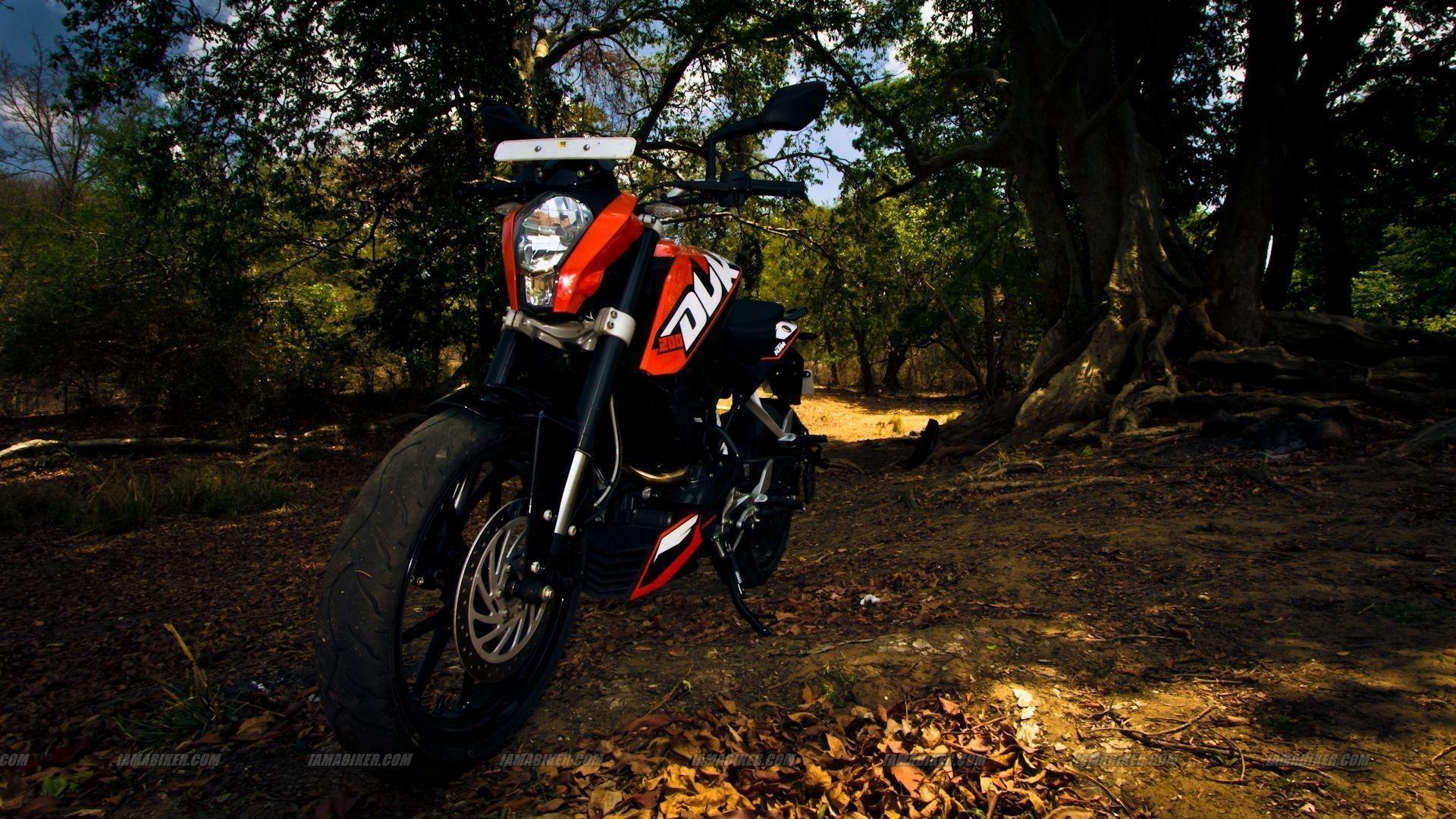 2019 Black Duke 200 HD Desktop Wallpapers - Wallpaper Cave