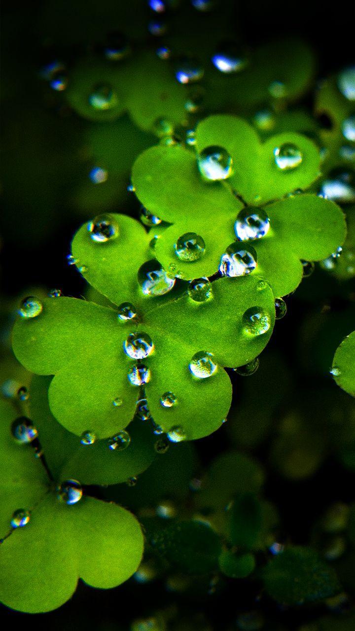 720x1280 Android Wallpapers - Wallpaper Cave