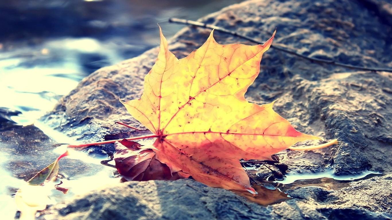 Computer Beautiful Wallpapers - Wallpaper Cave