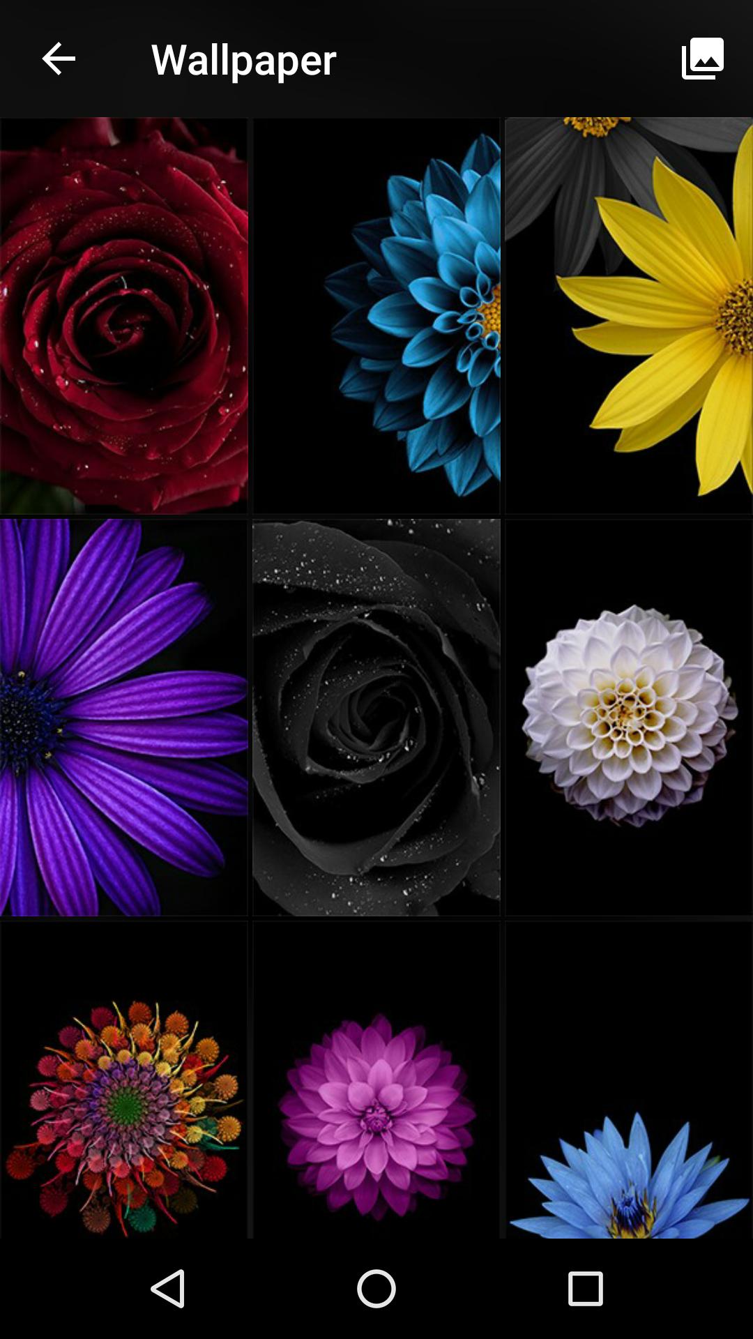 Flower Amoled Phone Wallpapers - Wallpaper Cave