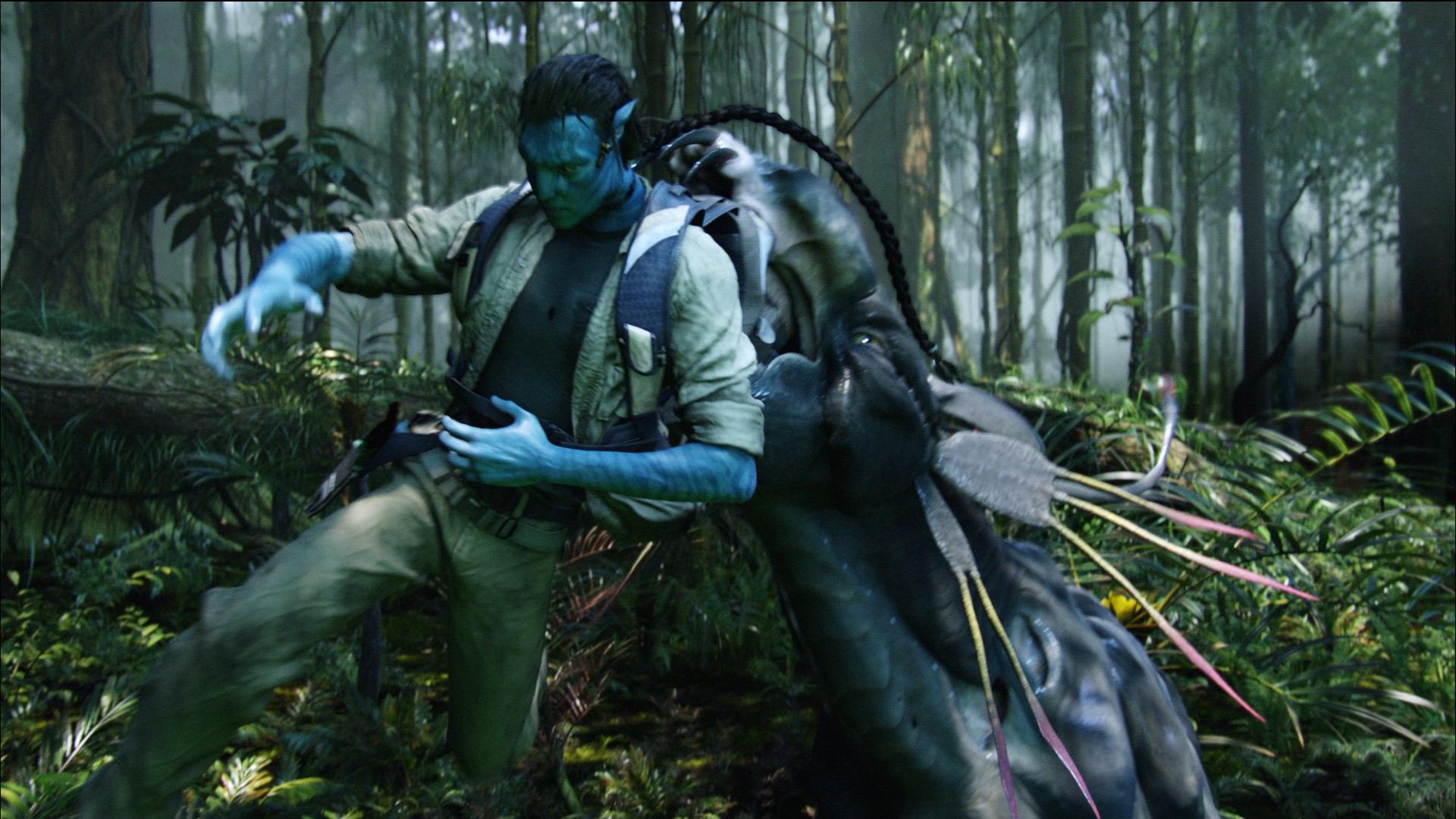 Jake Sully Vs Miles Quaritch Wallpapers - Wallpaper Cave