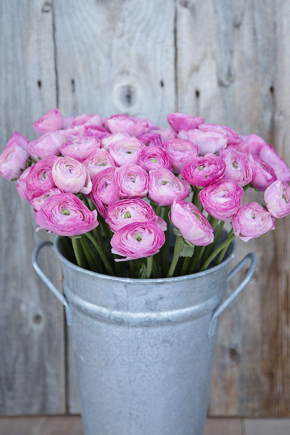 Flower Market Wallpapers - Wallpaper Cave