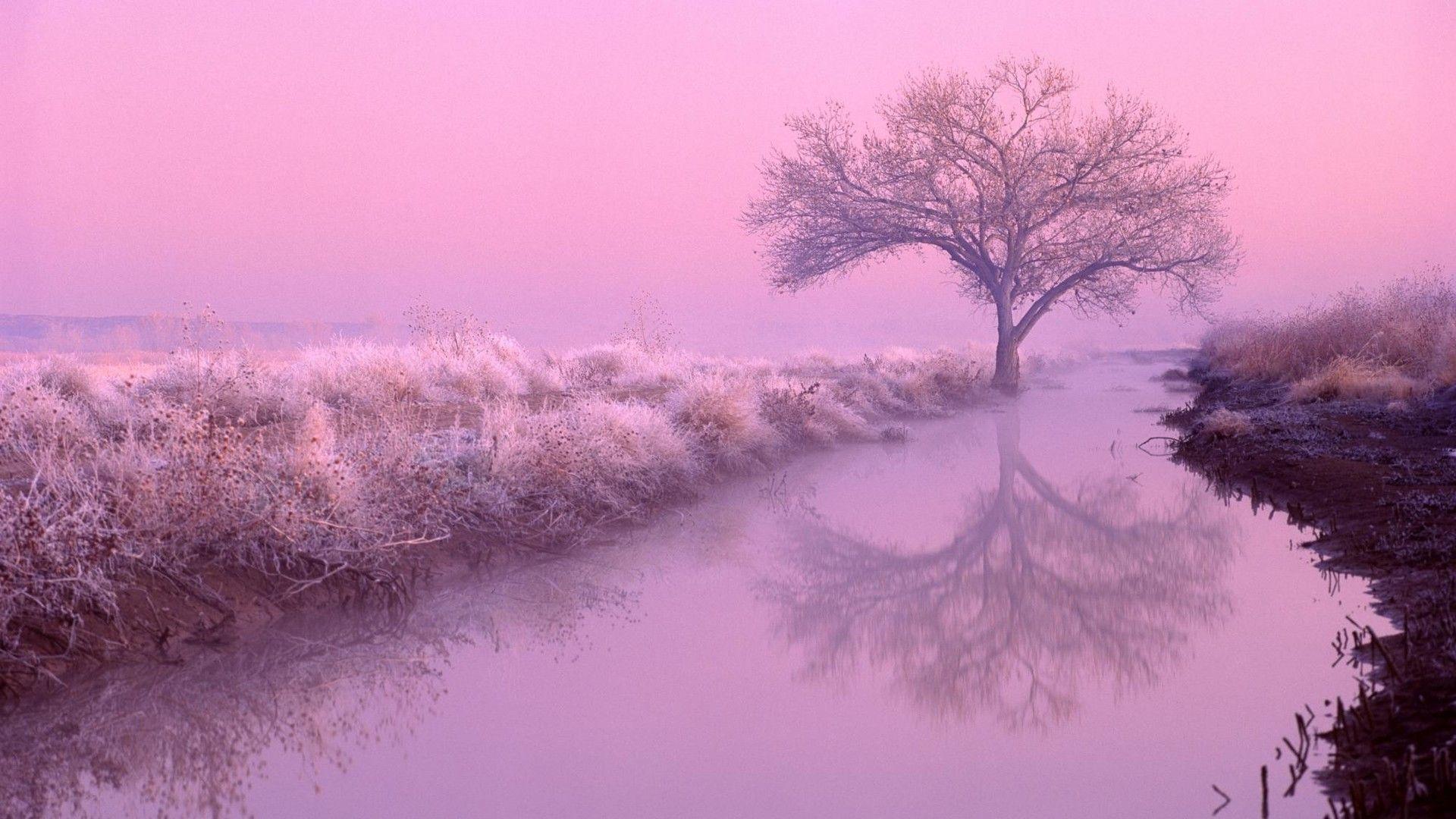 Pink Aesthetic 4k Wallpapers Wallpaper Cave Pink Aesthetic 4k Wallpapers Wallpaper Cave