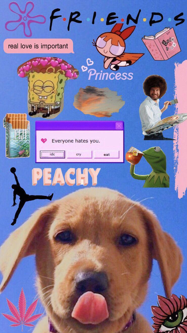 VSCO Dogs Wallpapers - Wallpaper Cave