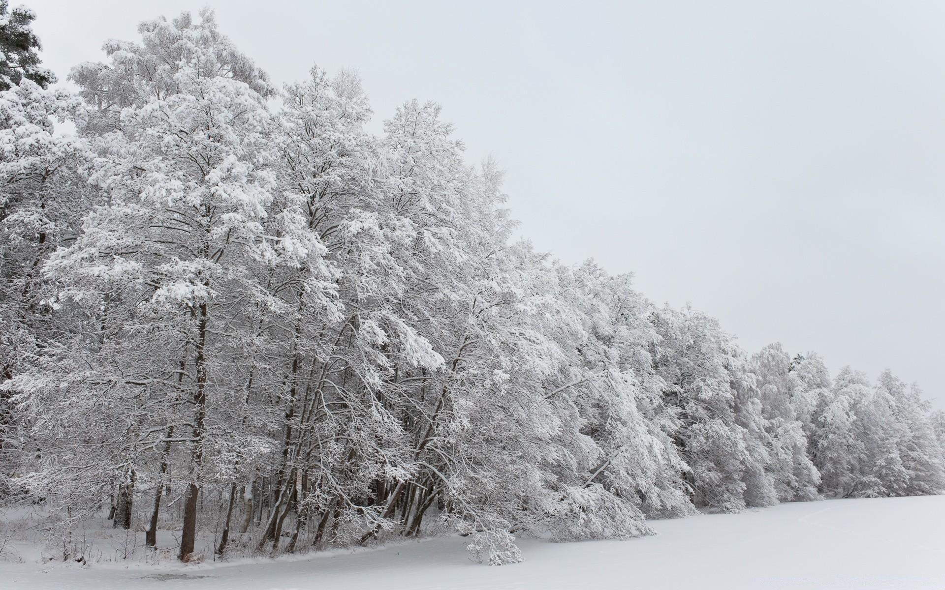 Winter Day Wallpapers - Wallpaper Cave