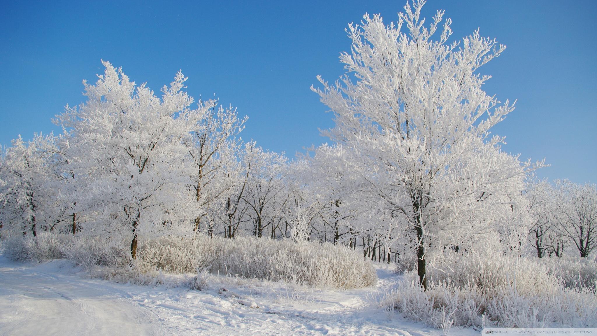 Winter Day Wallpapers - Wallpaper Cave