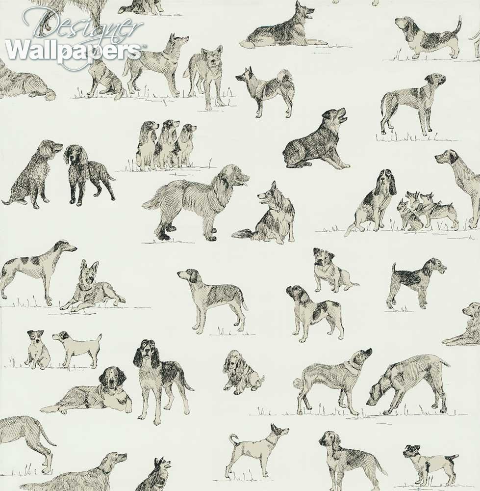 Dog Friend Wallpapers - Wallpaper Cave