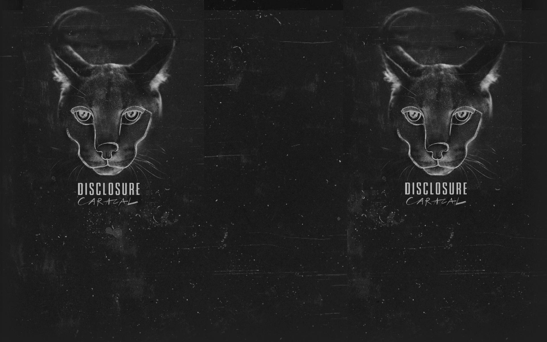 Disclosure Face Wallpaper PLQ Productions | F6S