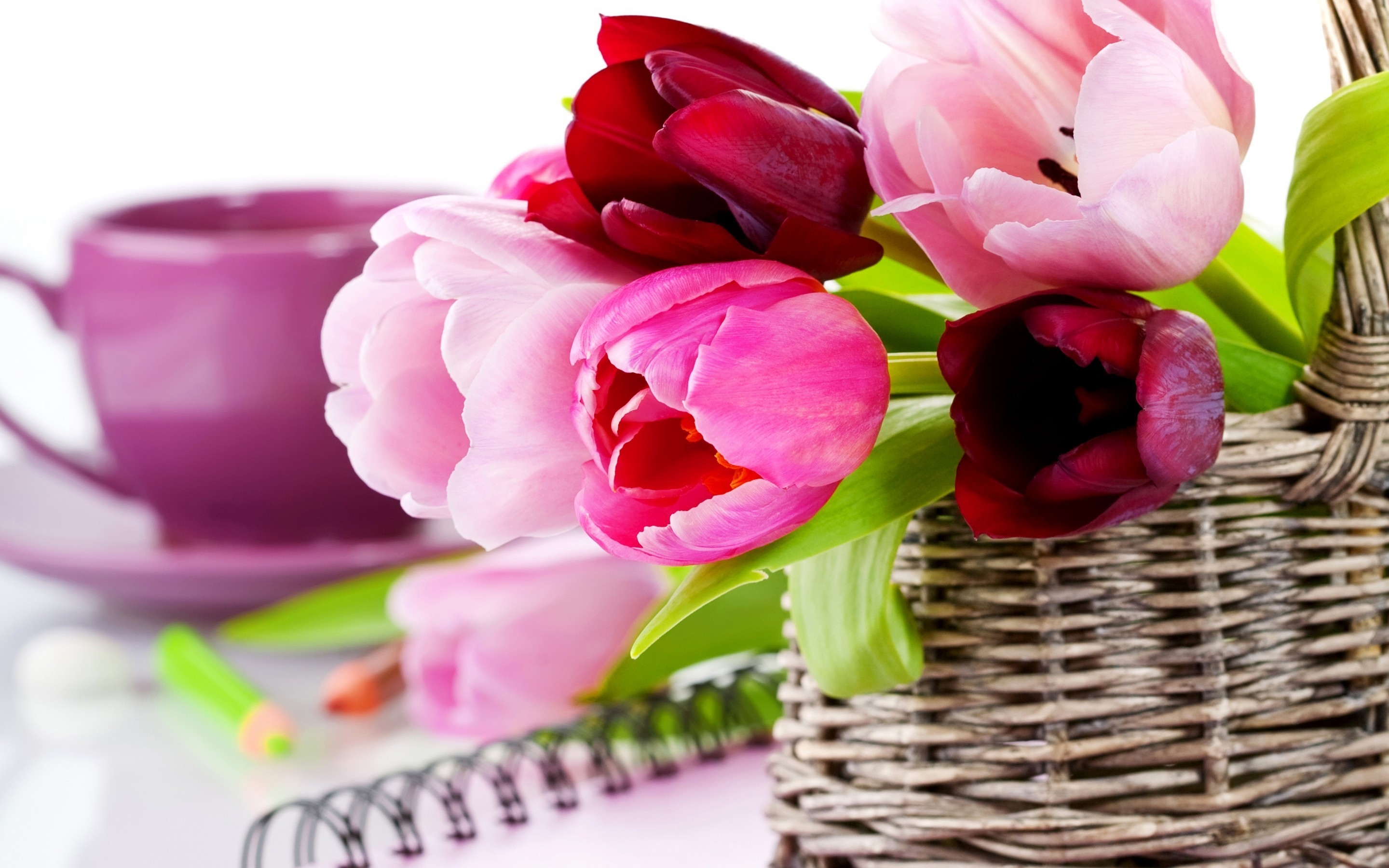 Flowers Basket Wallpapers - Wallpaper Cave