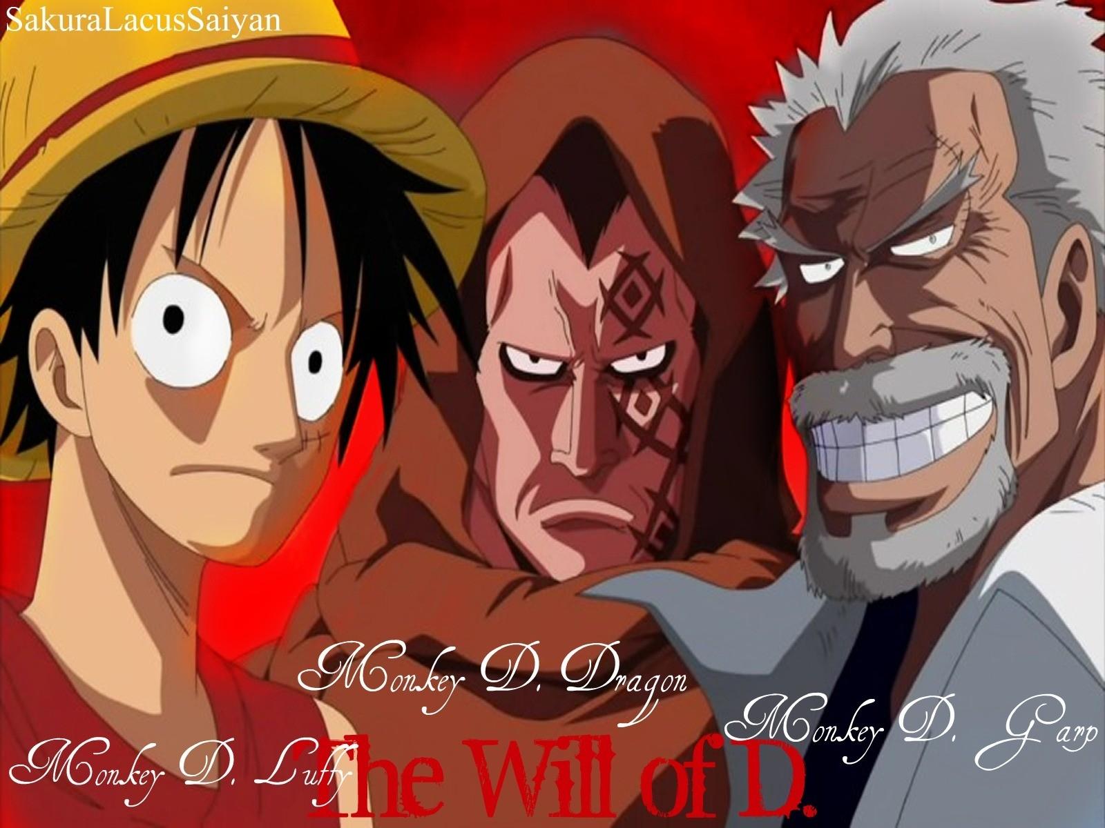 Monkey Garp Wallpapers - Wallpaper Cave