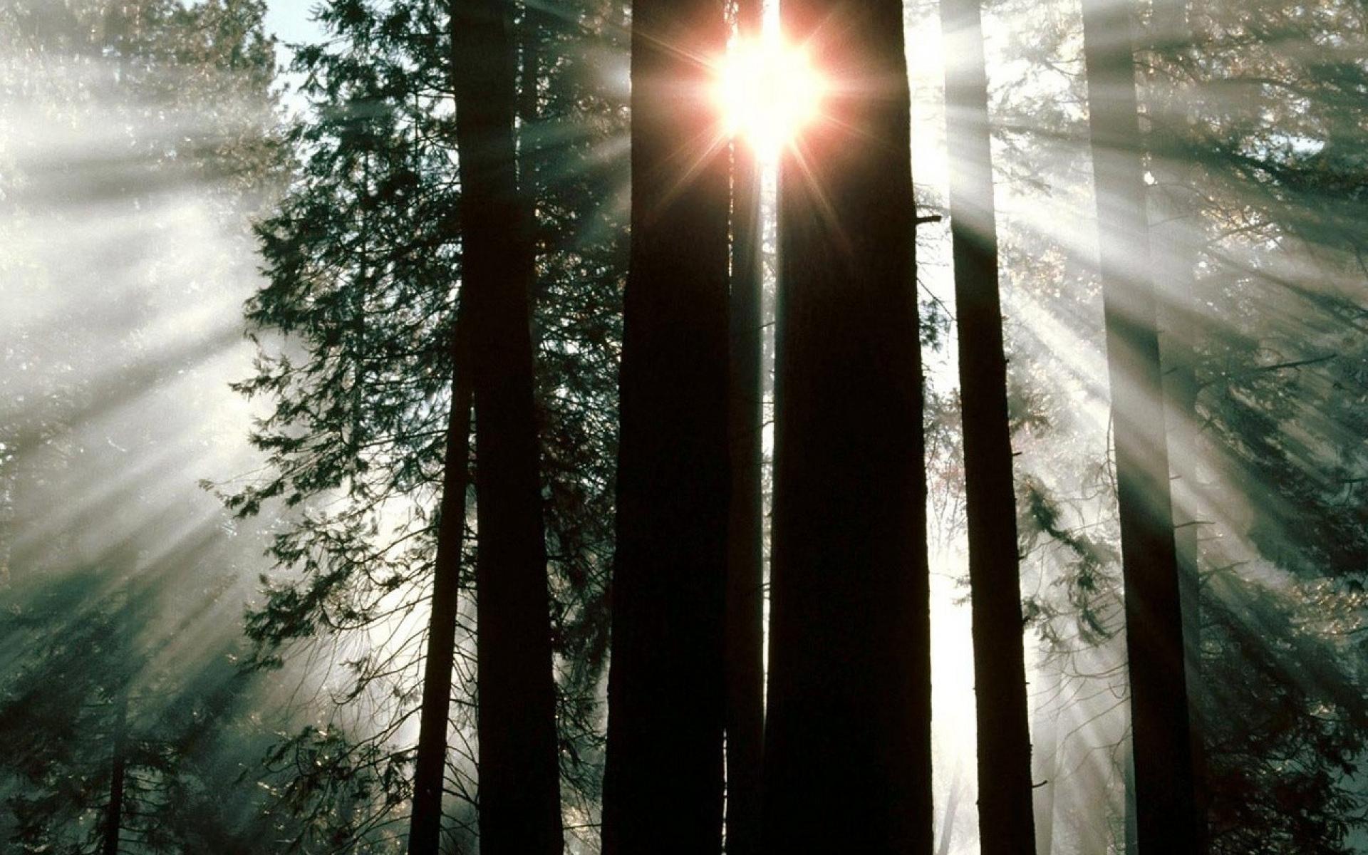 Sun Rays Morning Wallpapers - Wallpaper Cave