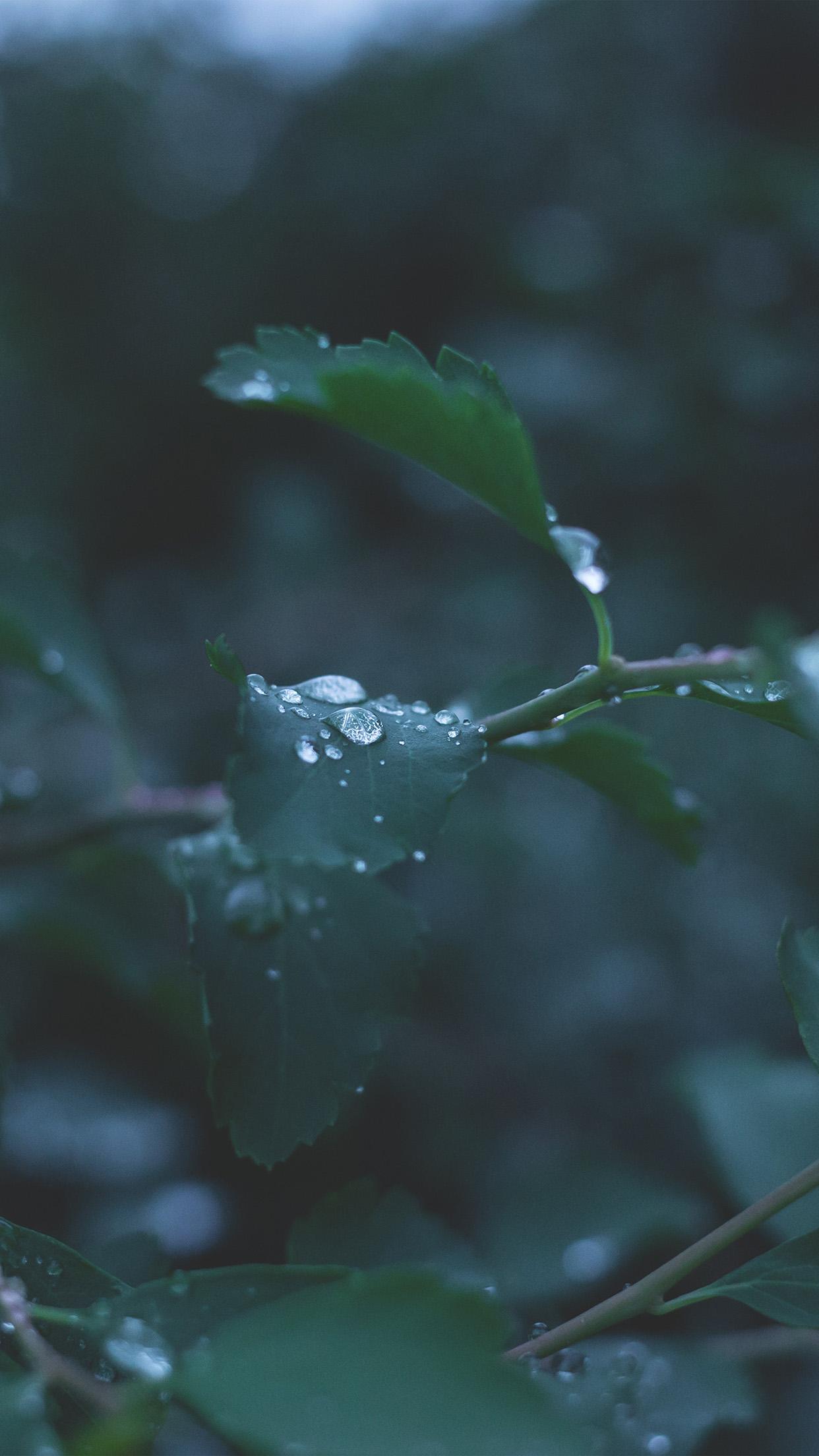Rain HD Android Wallpapers - Wallpaper Cave