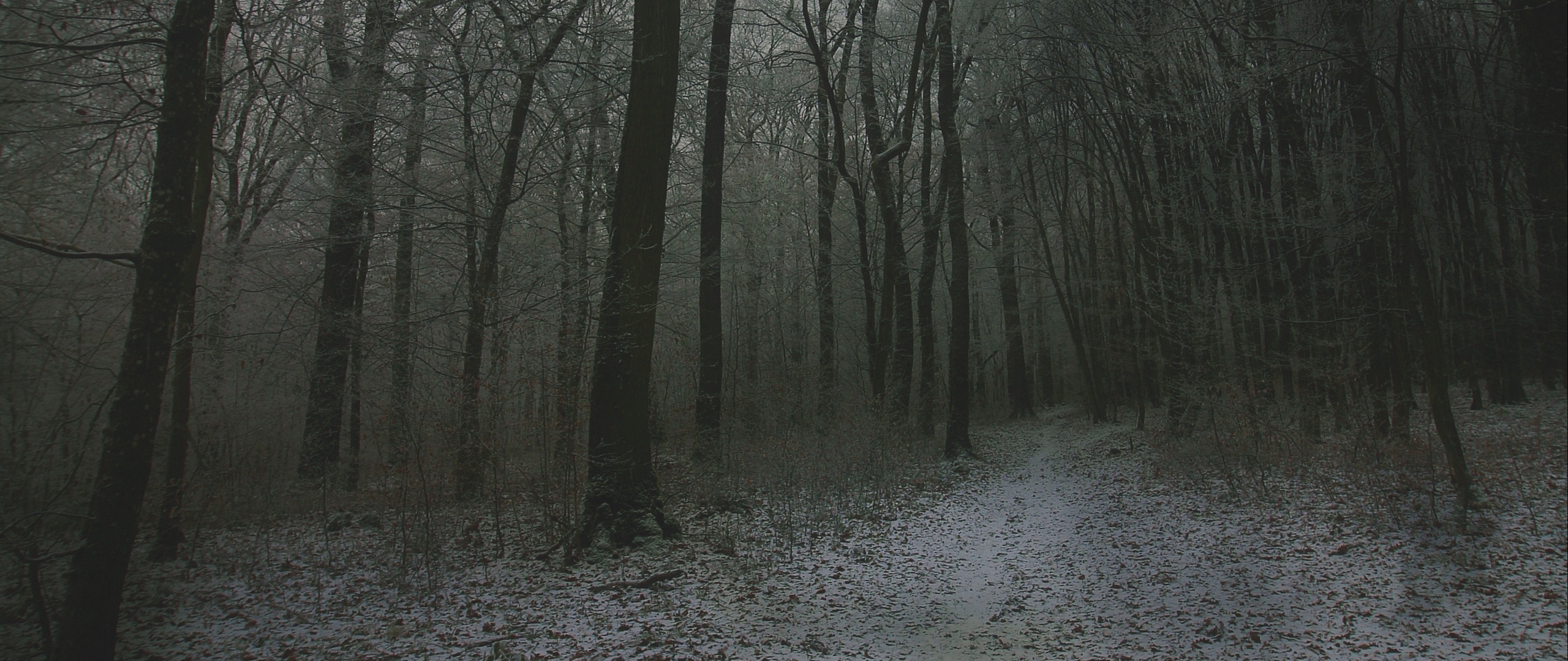 Winter Forest Path Snow Wallpapers - Wallpaper Cave