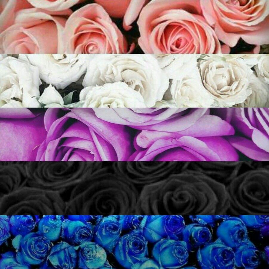 Genderfluid iPhone Wallpapers - Wallpaper Cave