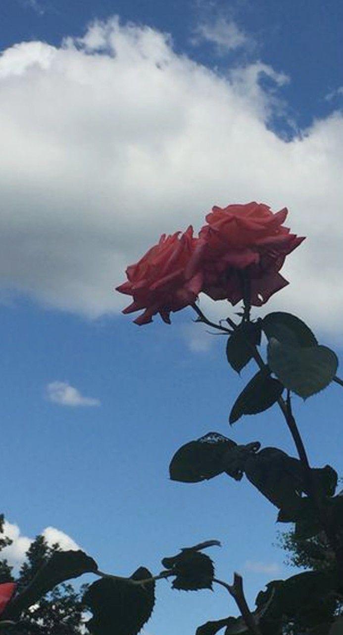 Dope Aesthetic Wallpapers - Wallpaper Cave