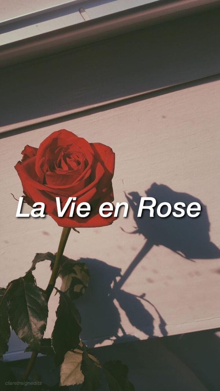 Izone Violeta Wallpapers - Wallpaper Cave