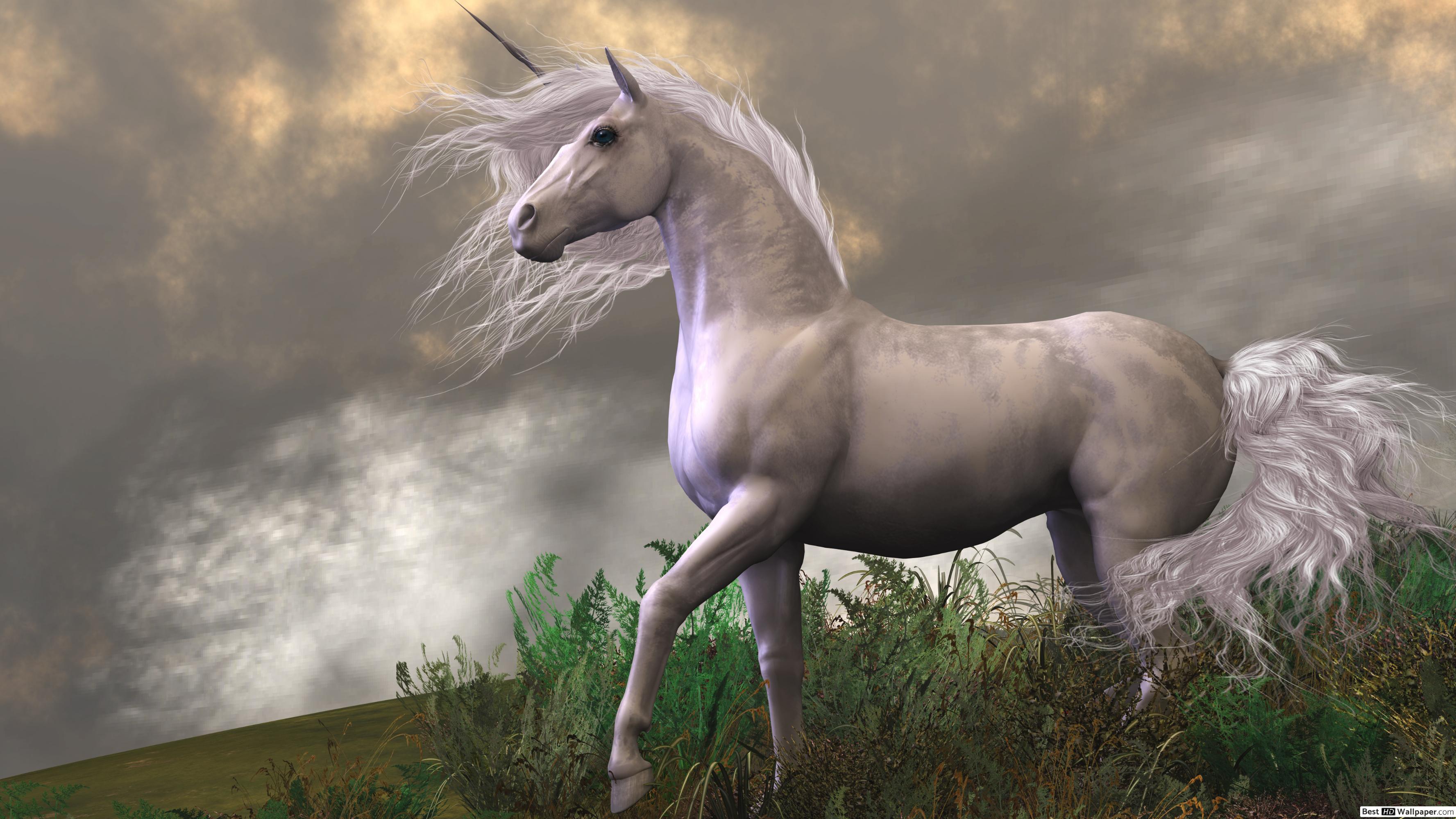 Enhjørning Desktop Wallpapers - Wallpaper Cave