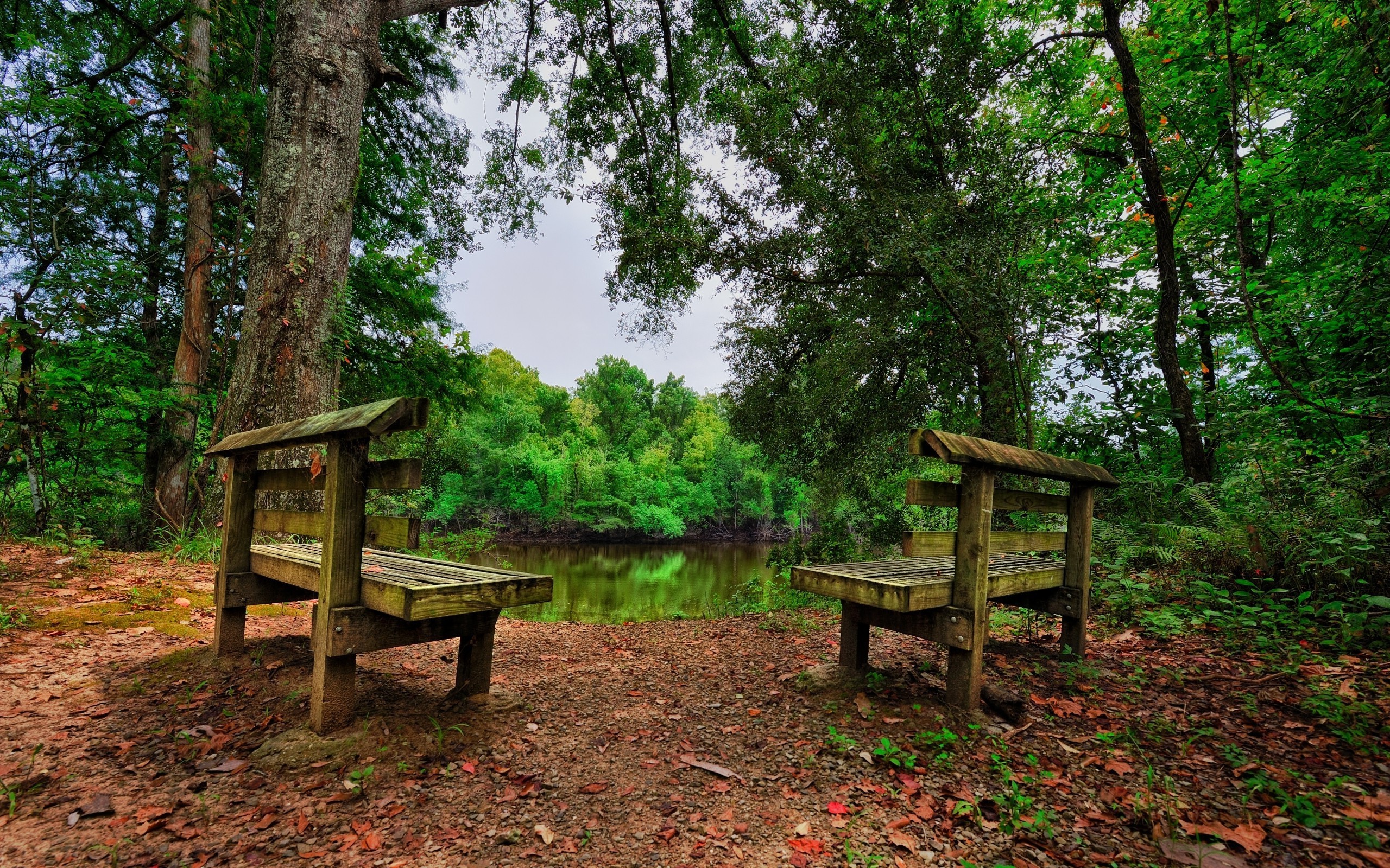 Bench By The Lake Wallpapers - Wallpaper Cave
