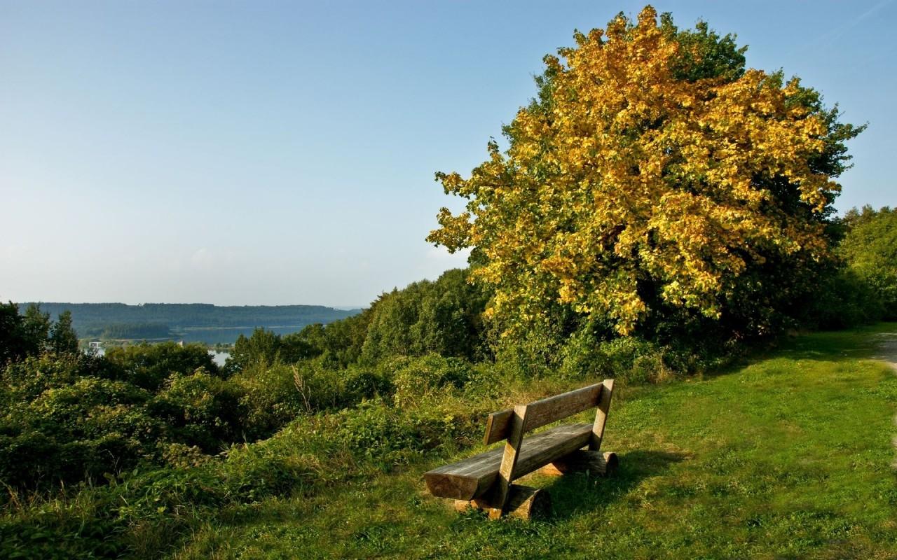 Bench By The Lake Wallpapers - Wallpaper Cave