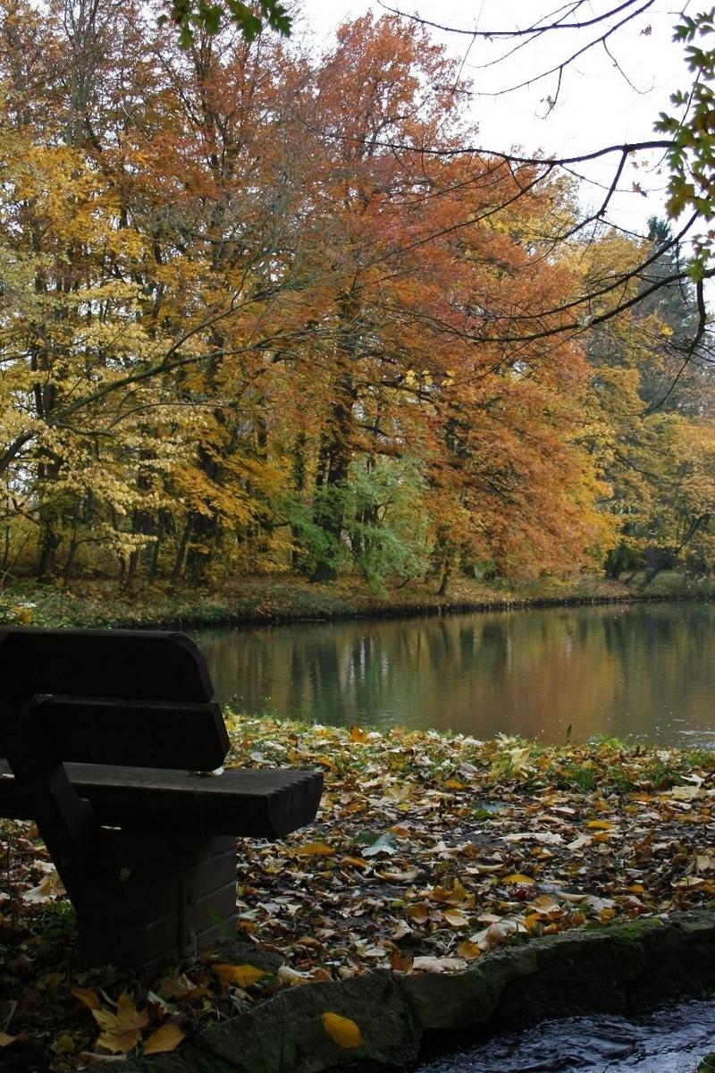 Bench By The Lake Wallpapers - Wallpaper Cave