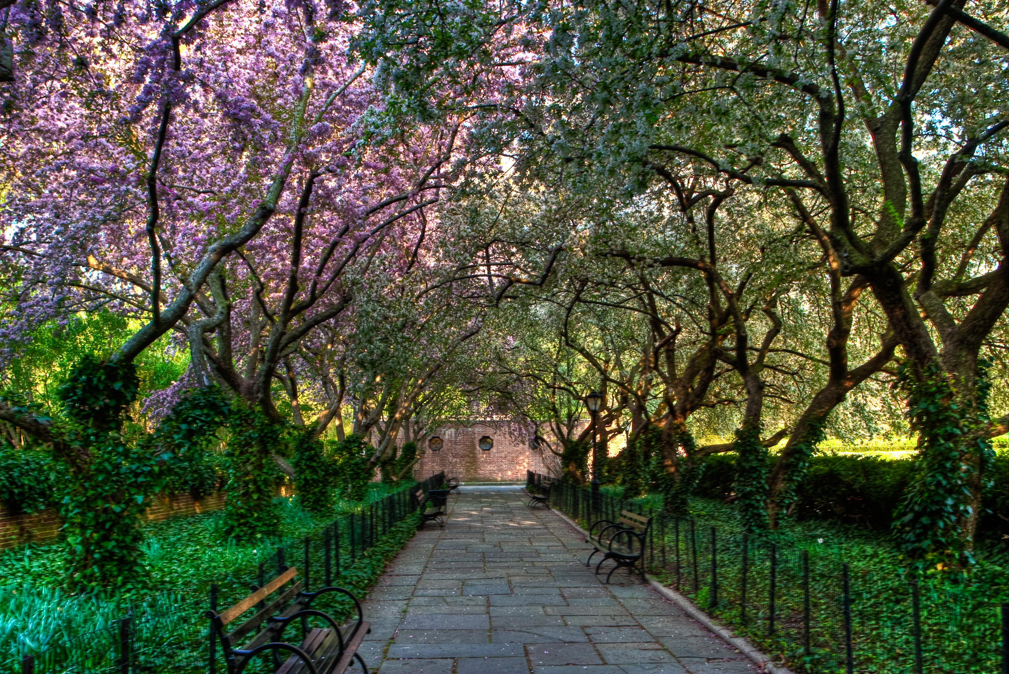 Central Park Spring Wallpapers - Wallpaper Cave