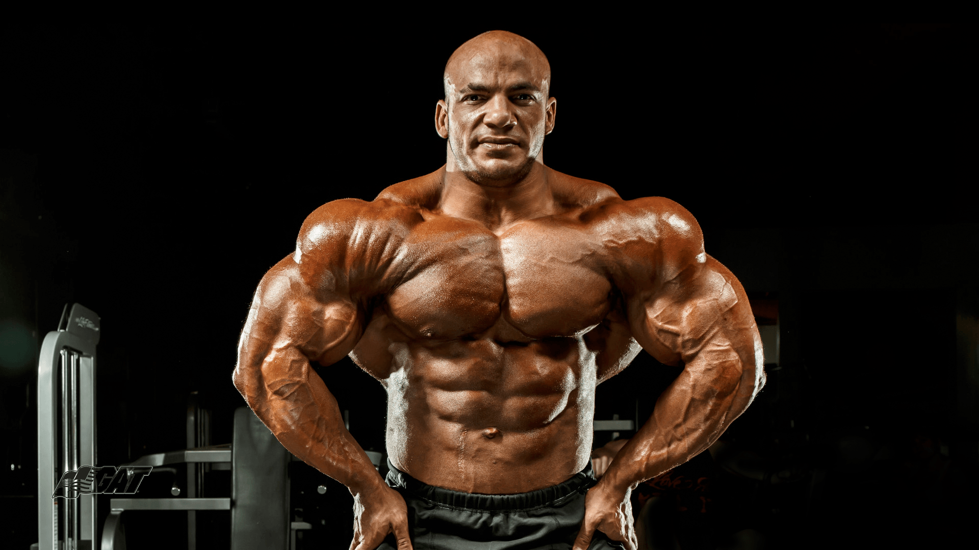 Mr Olympia Big Ramy Wallpapers - Wallpaper Cave