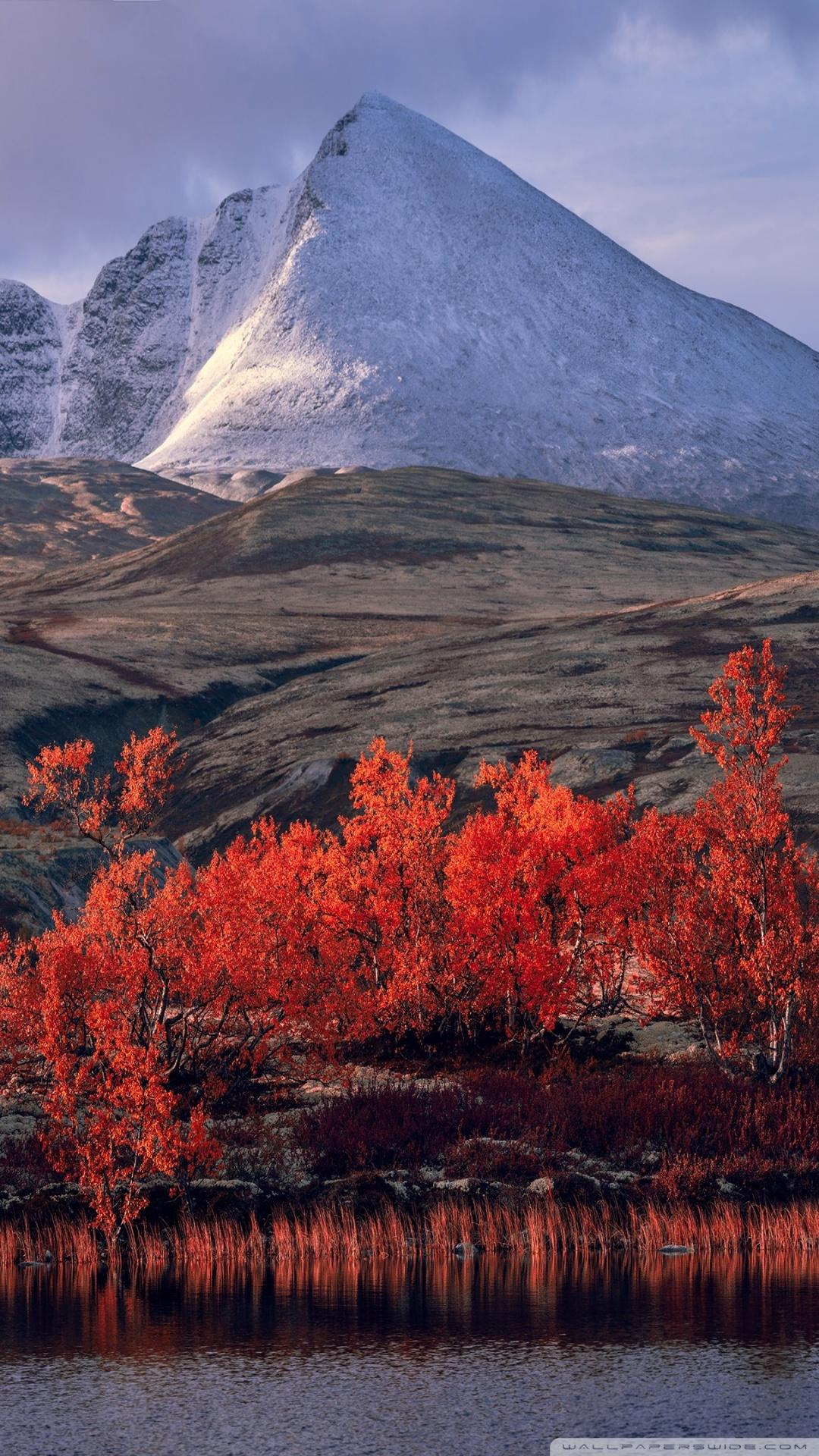 Smartphone Scenery Wallpapers - Wallpaper Cave