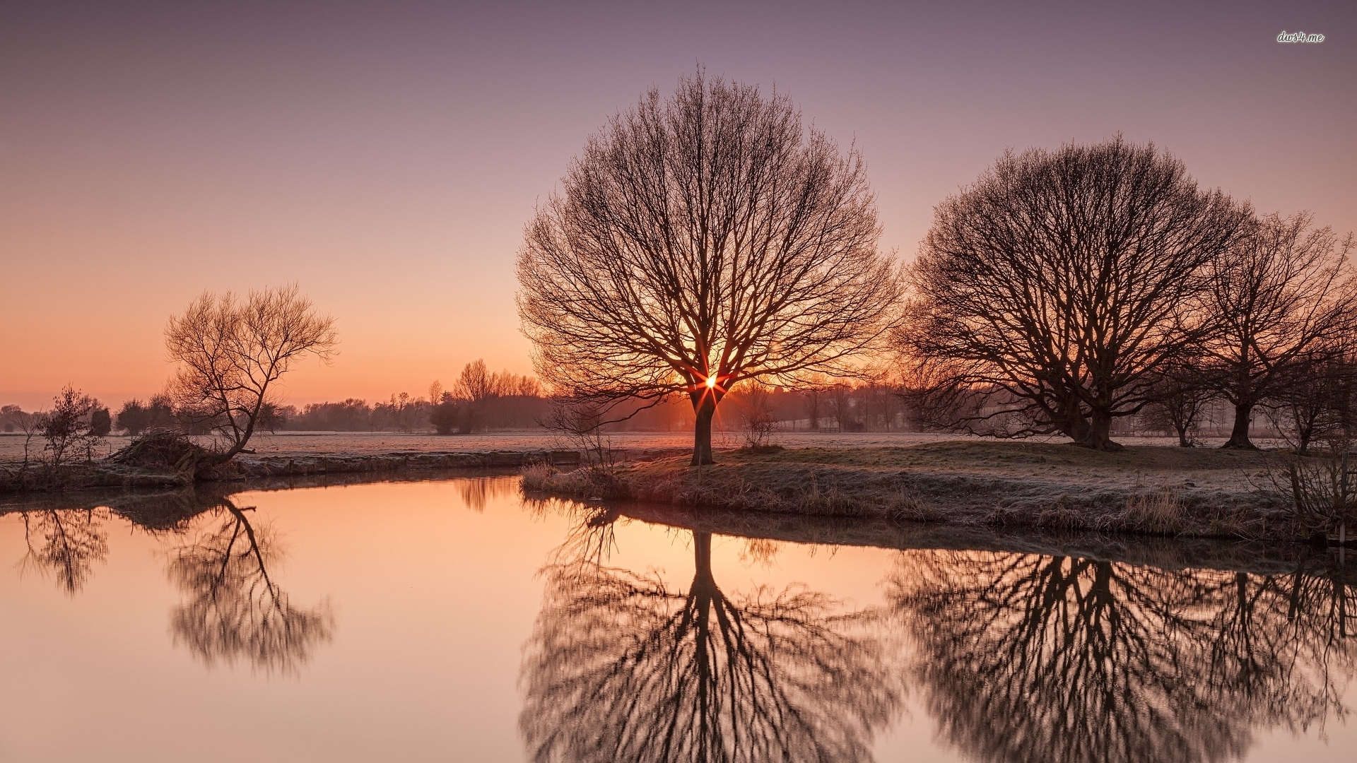 Hoarfrost Forest Black And White Wallpapers - Wallpaper Cave