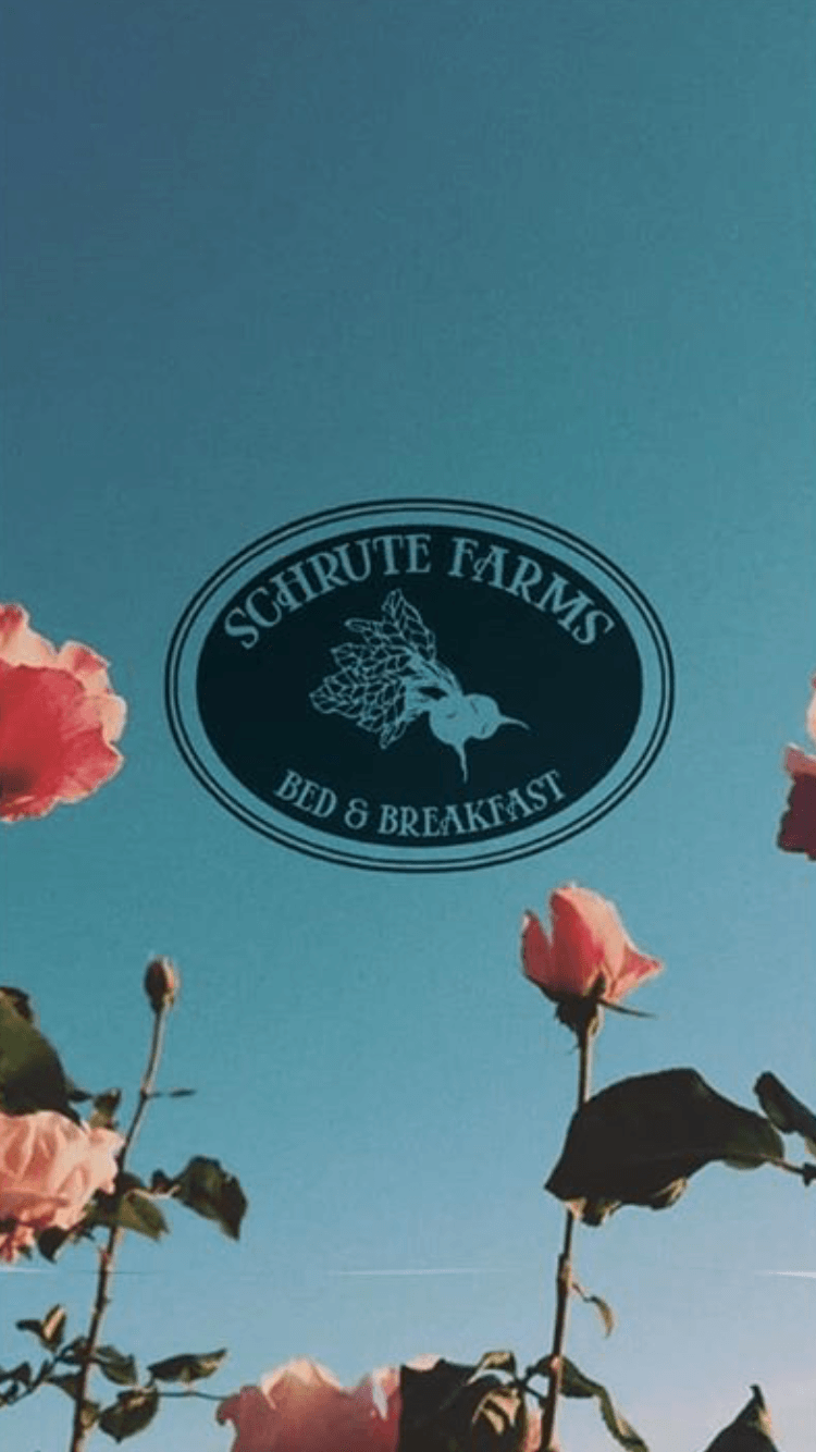 Still Hurts Lol Gang Gang Wallpapers - Wallpaper Cave