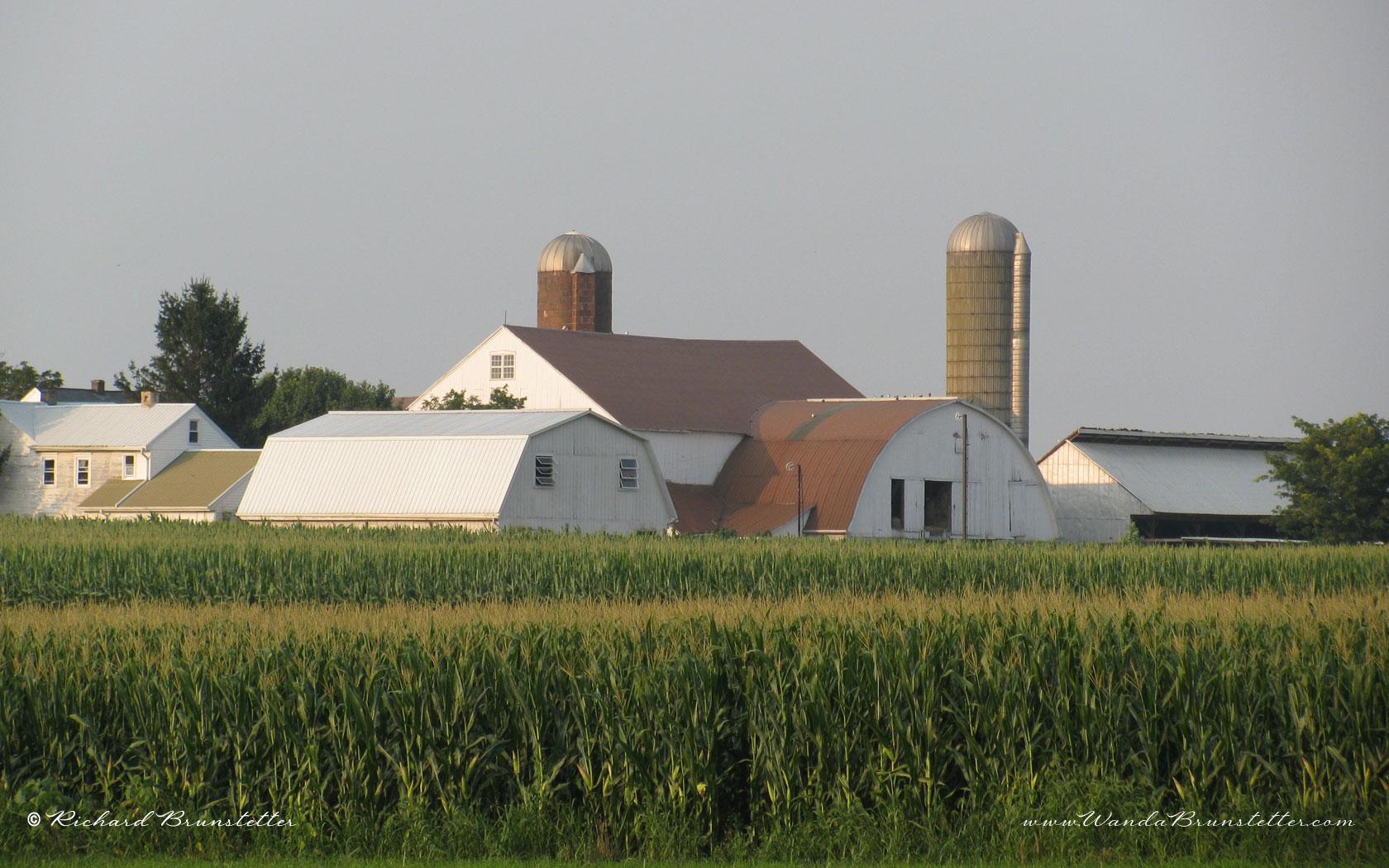 Amish Phone Wallpapers - Wallpaper Cave