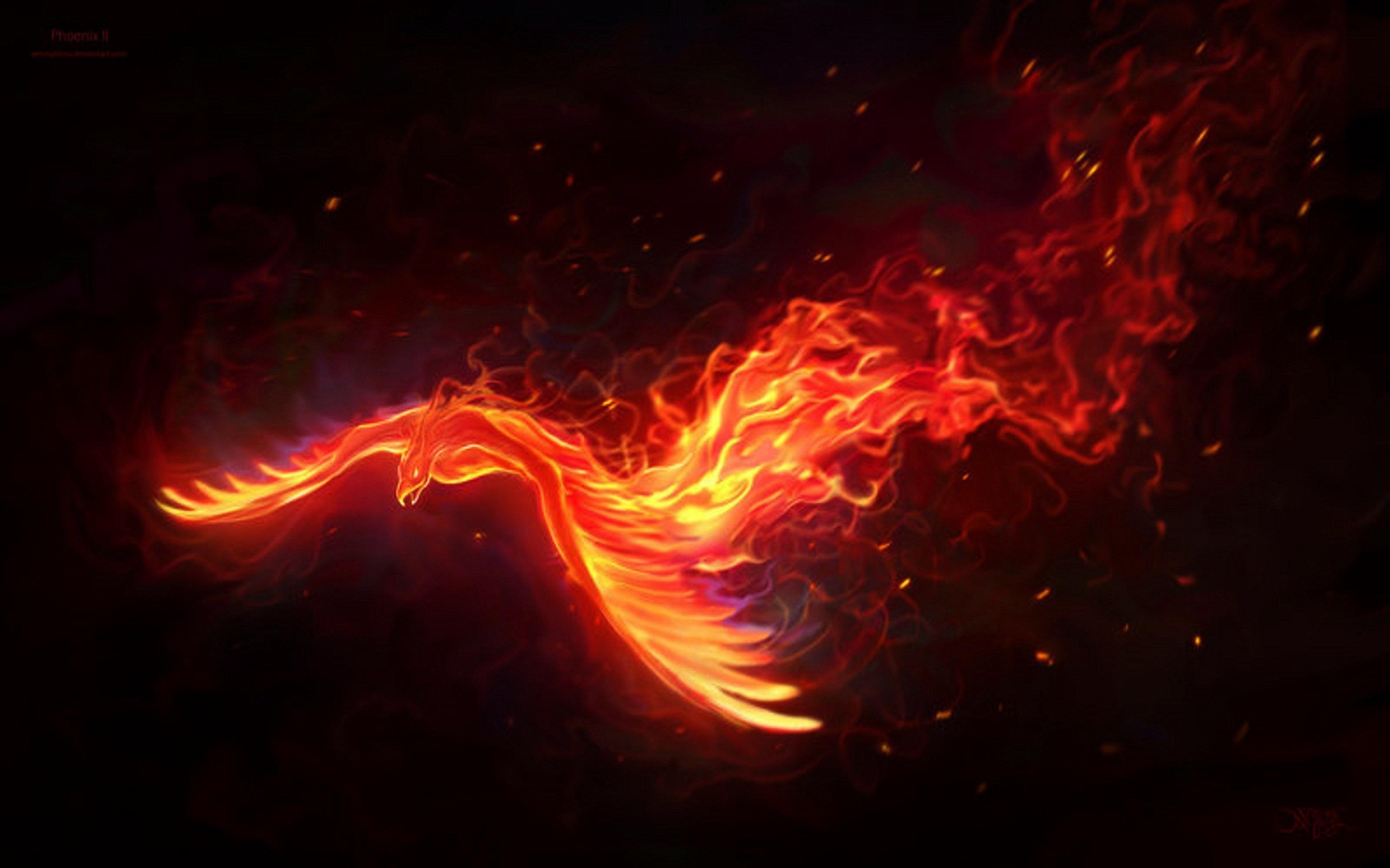 Phoenix Bird HD Computer Wallpapers - Wallpaper Cave